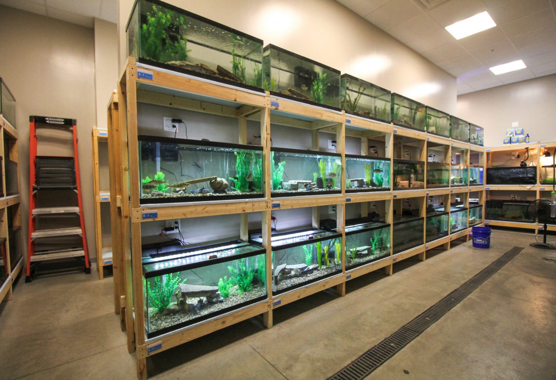 Classroom Lake Experience - Lilly Center for Lakes & Streams