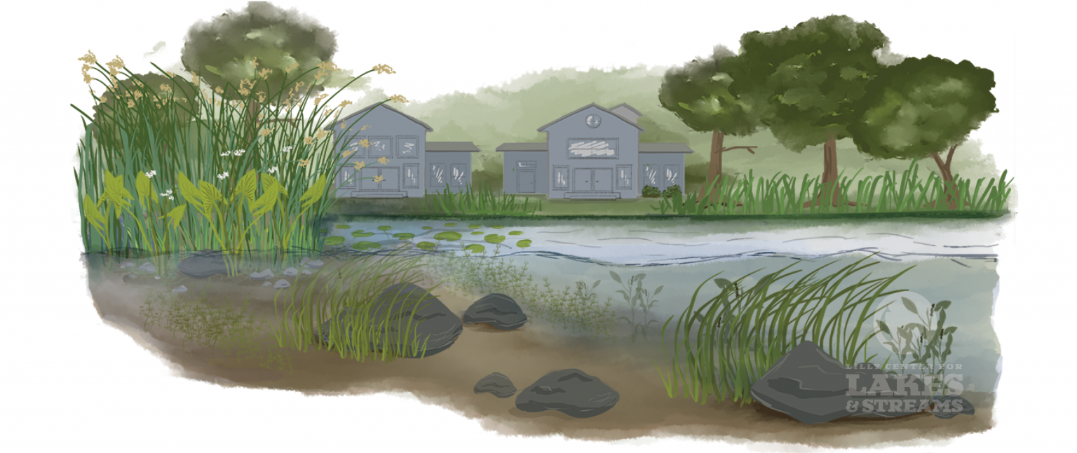 Love your lake? Here's what you need to know about its ecosystem. - The ...