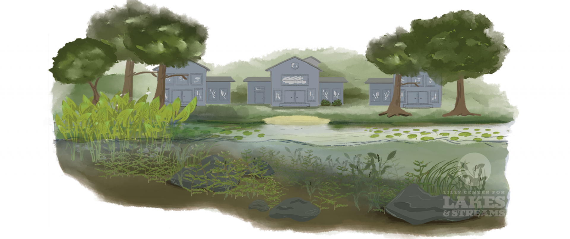 Love your lake? Here's what you need to know about its ecosystem. - The ...