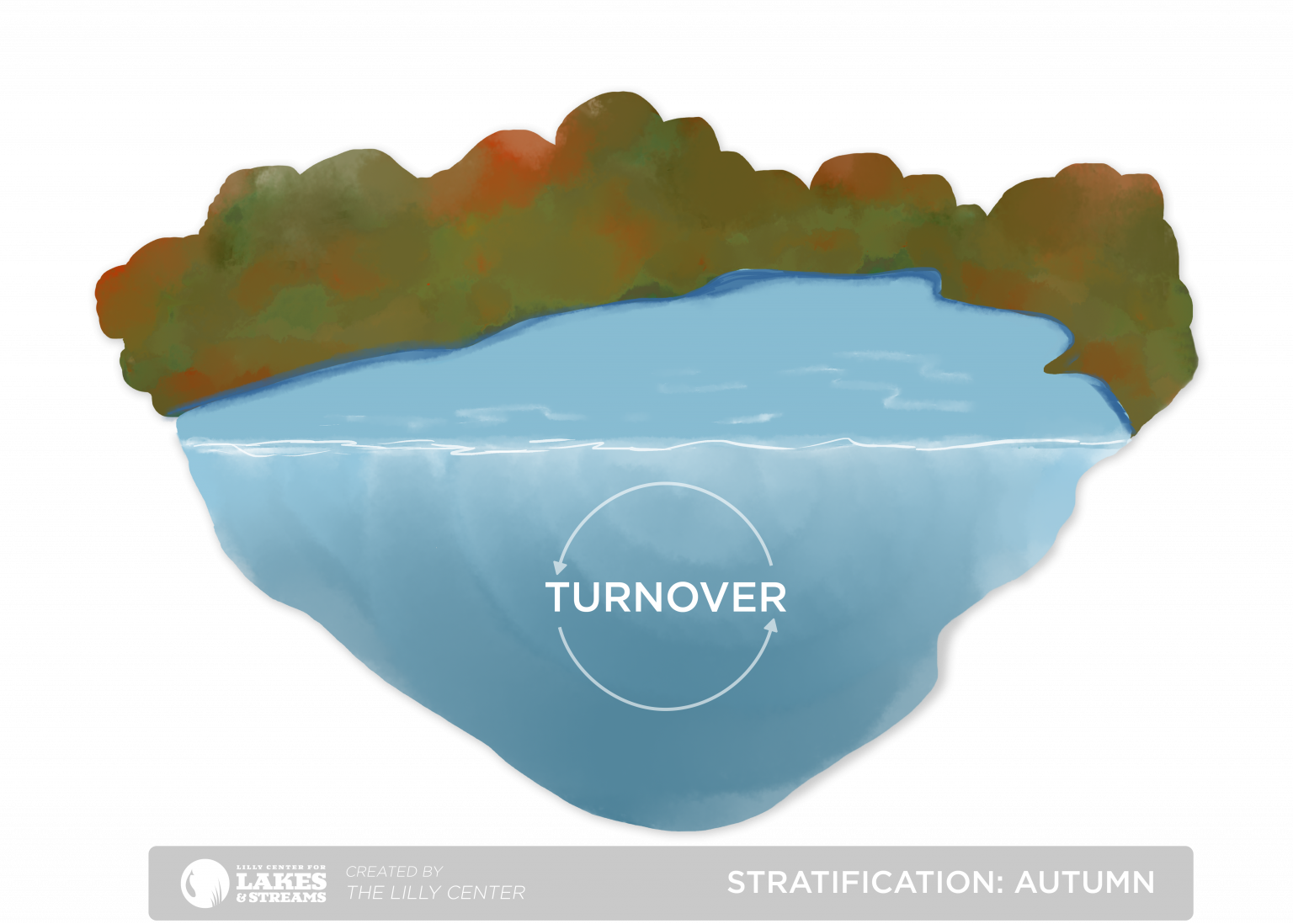 4 ways to describe lake turnover and how it helps our lakes