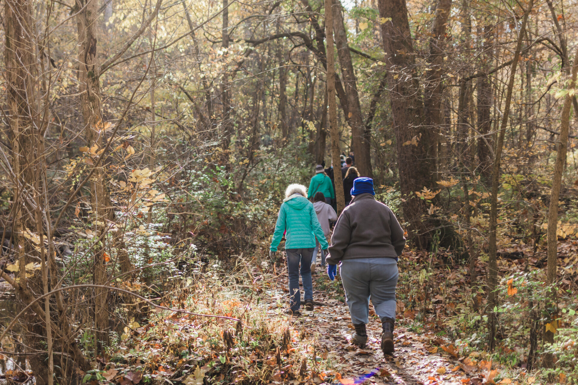 Expedition: Tree ID and Wetland Hike - Lilly Center for Lakes & Streams